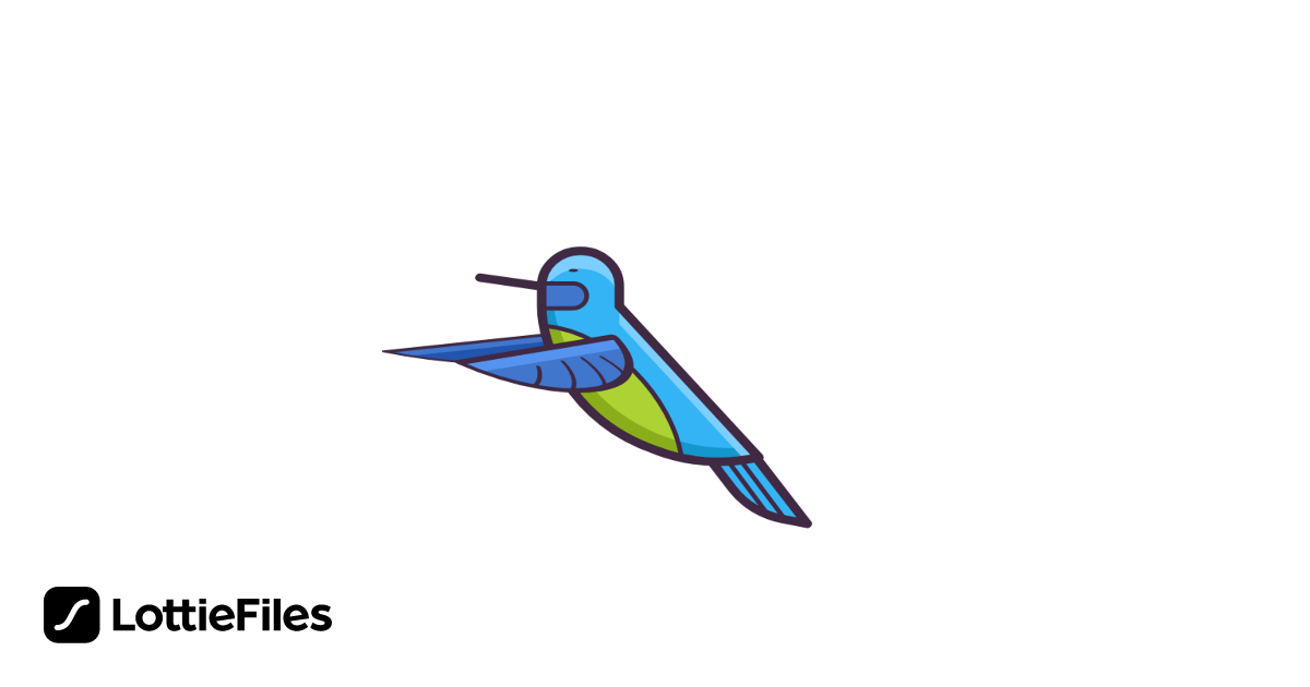 Free Hummingbird Animation by Aisha J | LottieFiles