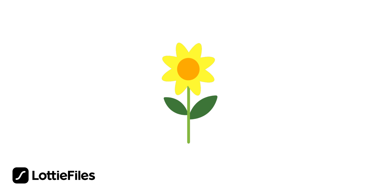 Free sunflower Animation by Faisal Qureshi | LottieFiles