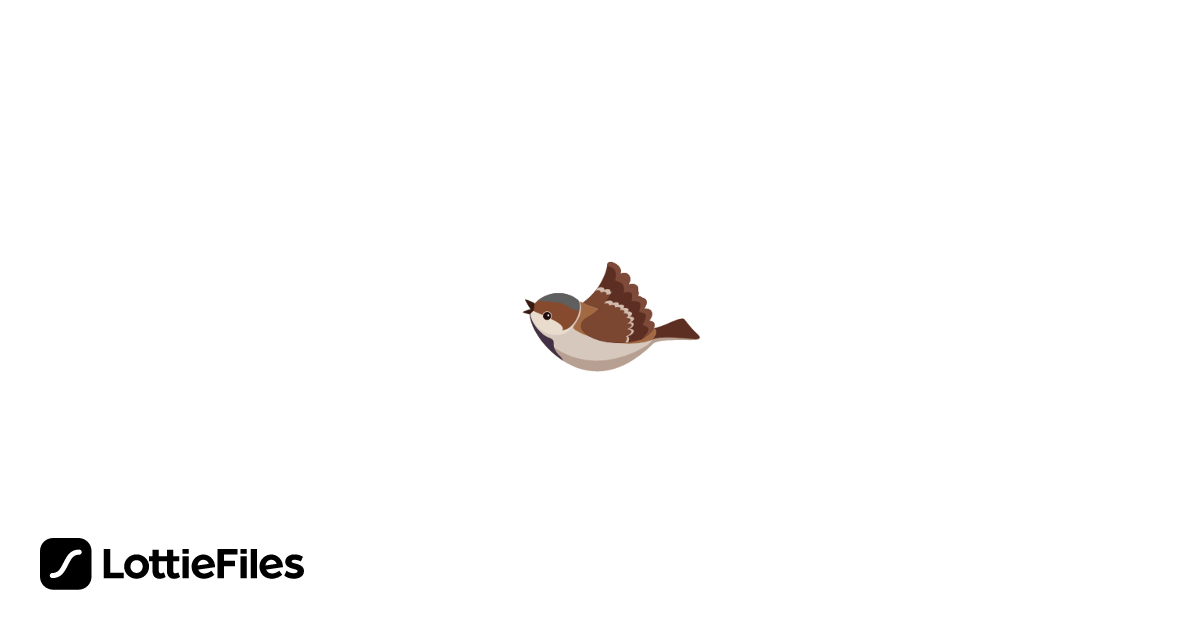 Free Bird's flying Animation by Nicky Phuong | LottieFiles