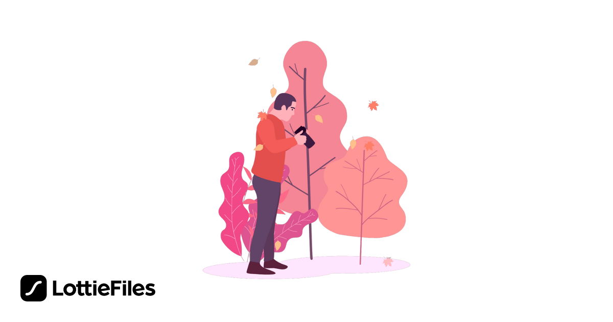 Free Photographers taking shots Animation by Abdul Latif | LottieFiles