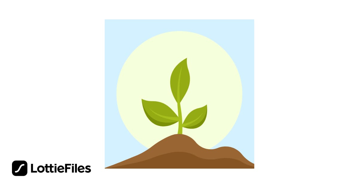 Free Plant Sprout Animation by Poly Artboard | LottieFiles