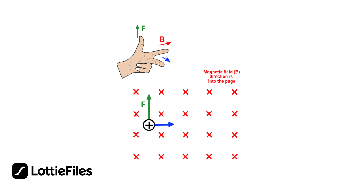 Free Charge moving in magnetic field – need to know speed - Explanation ...