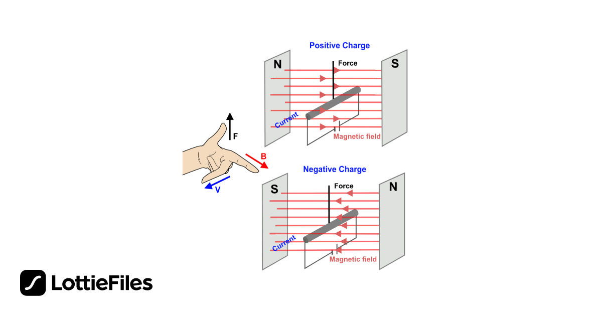 Free Charge moving in magnetic field – need to know charge ...