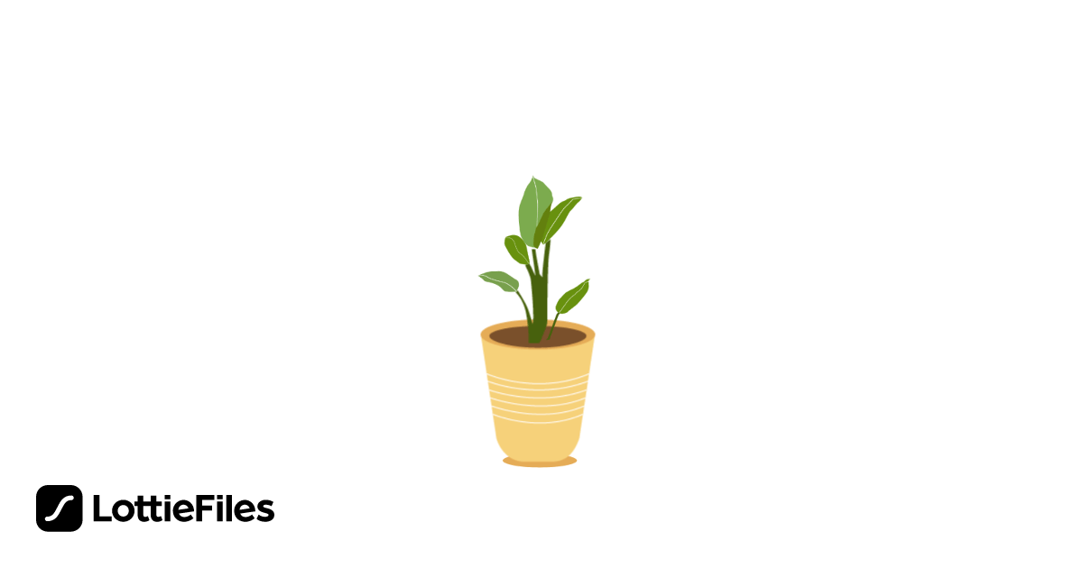 Free Plant growing animation Animation by Shannon Ferguson | LottieFiles