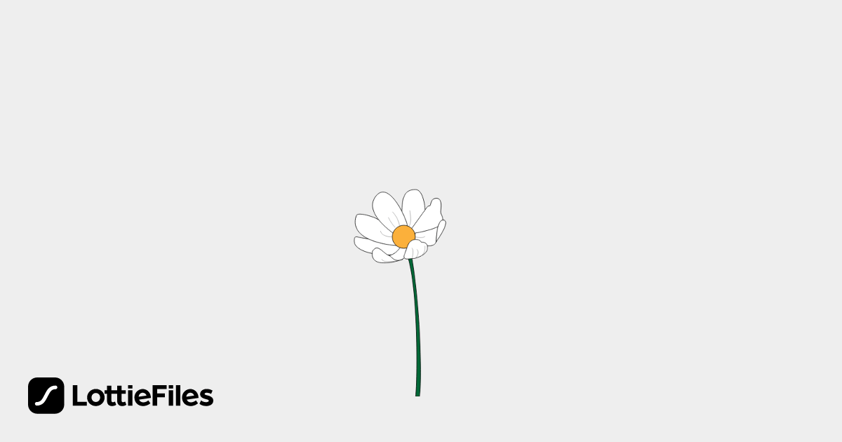 Free Windflower Animation by Motion Drive | LottieFiles