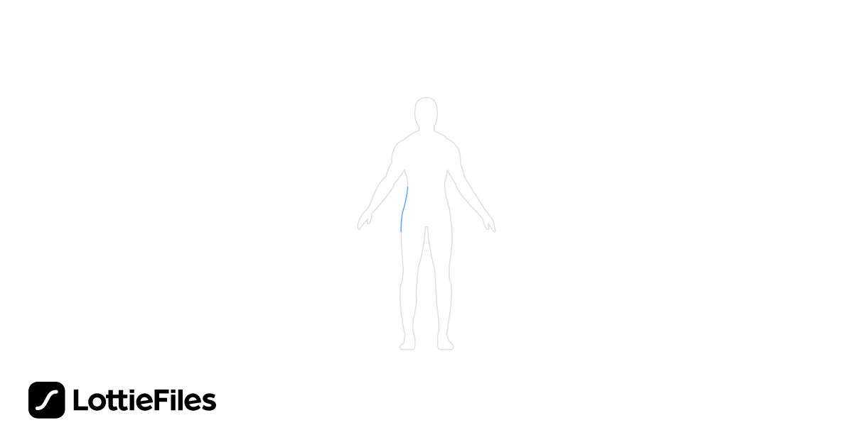 Free humanbody01 Animation by jeffoson | LottieFiles
