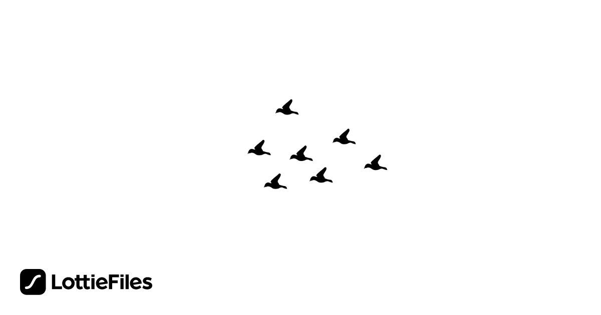 Free Bird Flock Animation by Richard Sahala Hartanto | LottieFiles