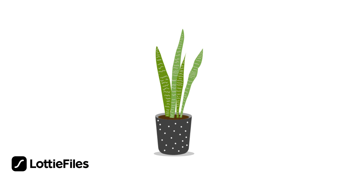Free snake plant growing - loader/animation Animation by Shannon ...