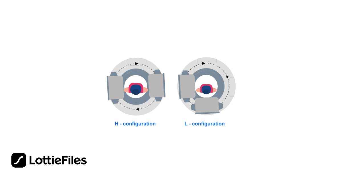 Free Types of cameras H and L Animation by Joana Barreira | LottieFiles