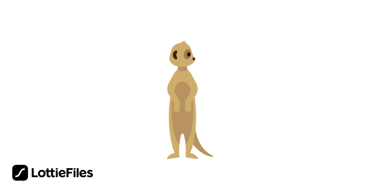 Free Meerkat looking around Animation by Debbie Diaz | LottieFiles
