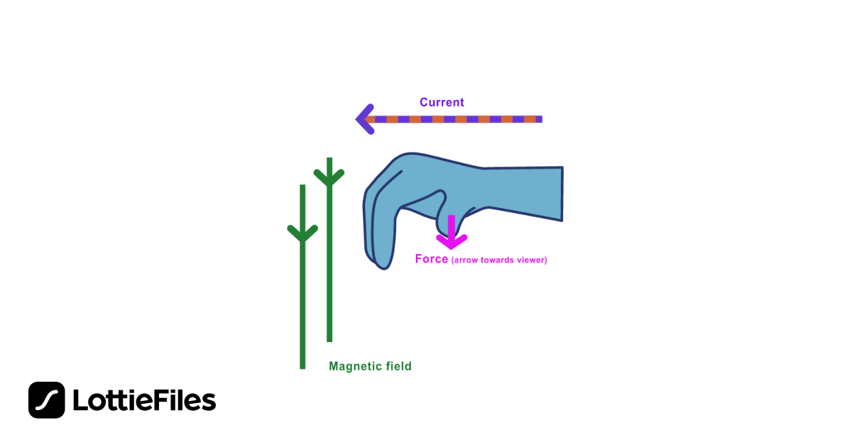 Free 2nd right hand rule - Magnetism Animation by Joana Barreira ...