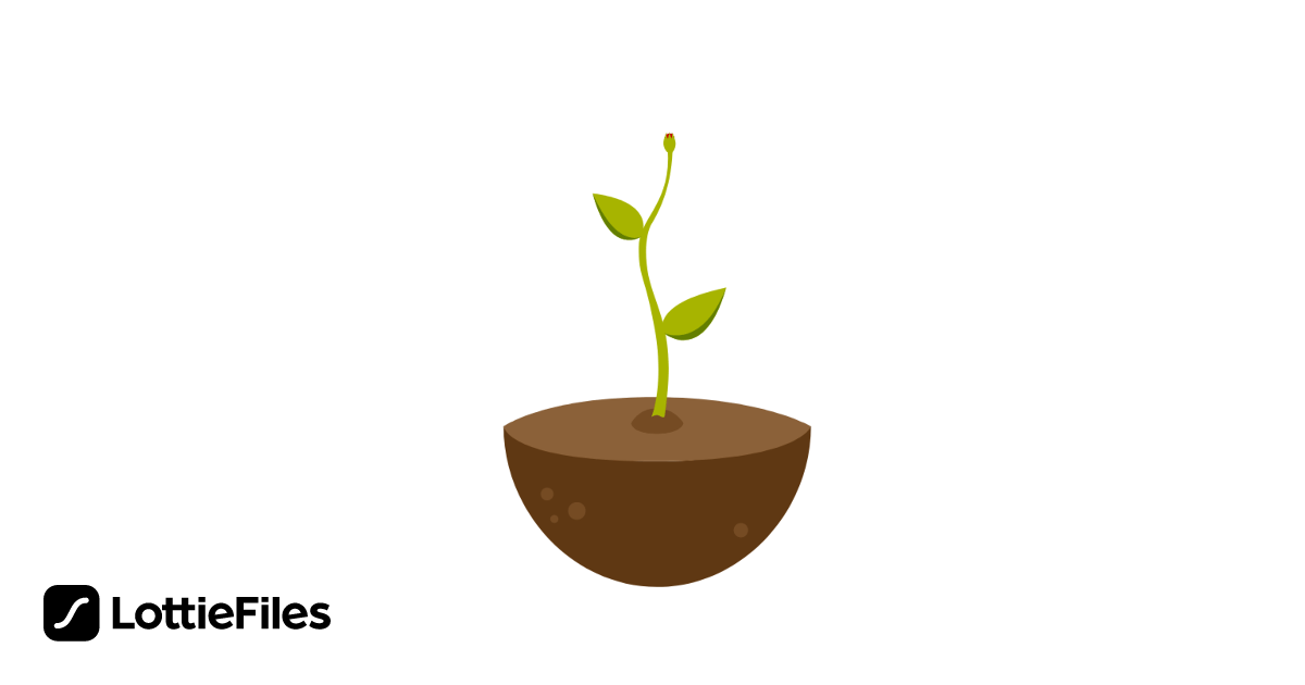 Free Flower bloom Animation by Elena Fernández Formoso | LottieFiles