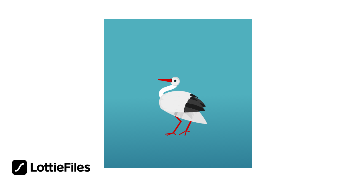 Stork Test by Andrei-Cristian Murgescu - LottieFiles