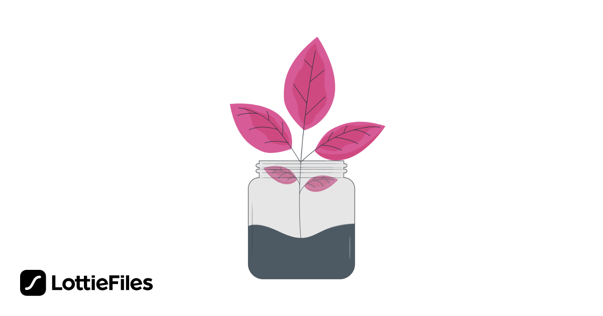 Free Plant vase Animation by Matheus Camargo | LottieFiles