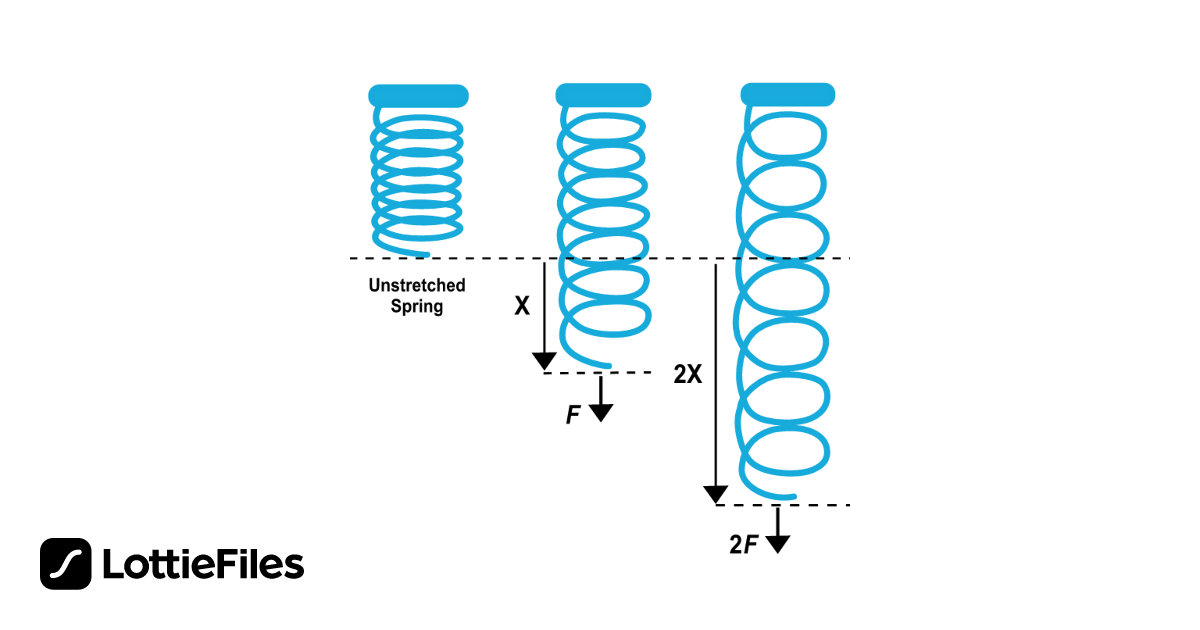 Hooke s Law Explanation By Joana Barreira LottieFiles Hooke s Law Explanation By Joana Barreira LottieFiles