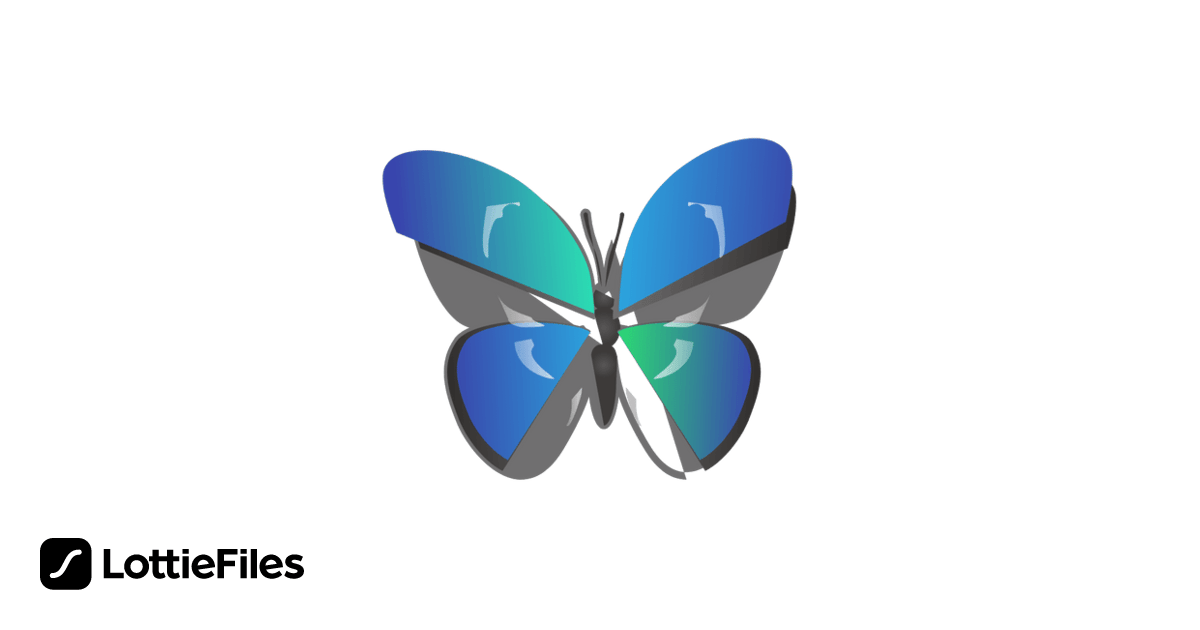 Free butterfly Animation by Avina QIN | LottieFiles