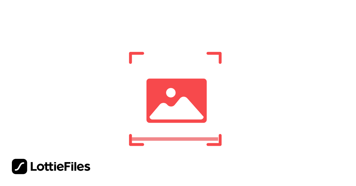 Free Image Scanning Animation by Nisarg Patel | LottieFiles