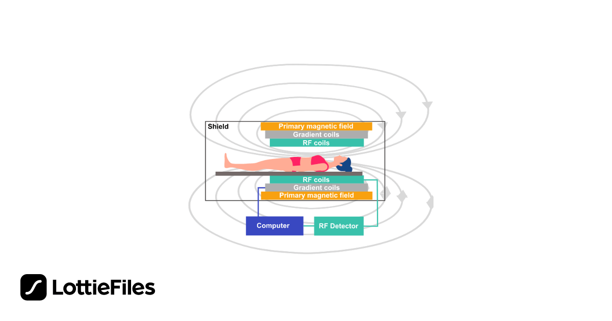 Free MRI components Animation by Joana Barreira | LottieFiles