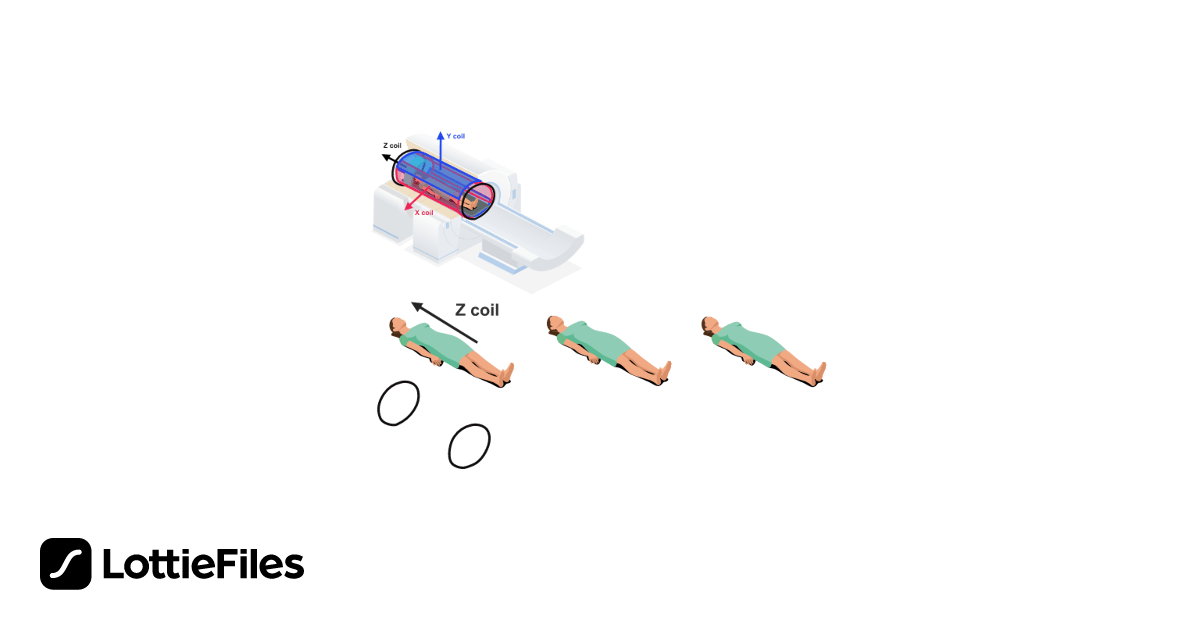 Free MRI Gradient coil configuration Animation by Joana Barreira ...