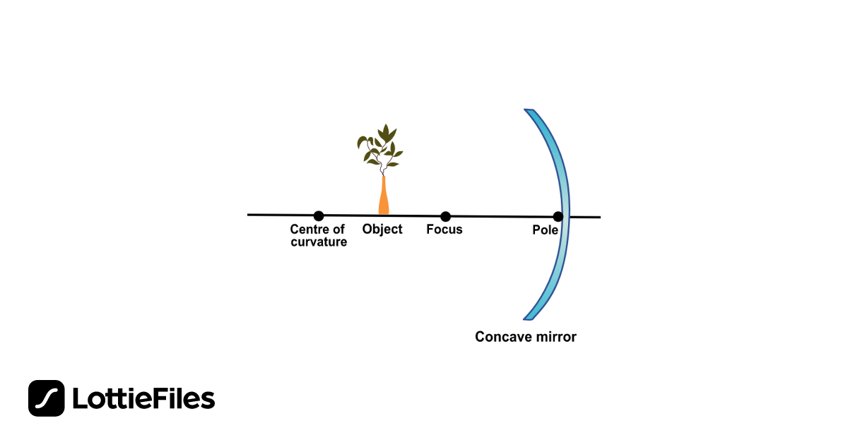 Free Object at location somewhere in between the center of curvature ...