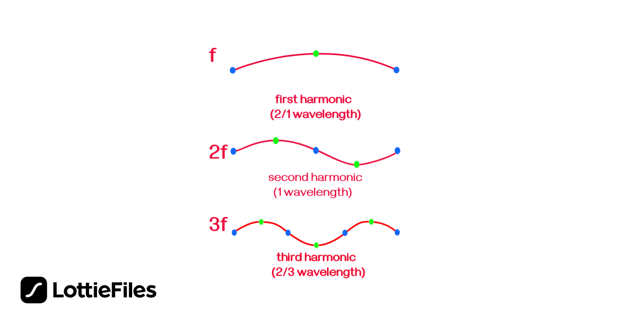 Free harmonics Animation by Mervin Paul | LottieFiles
