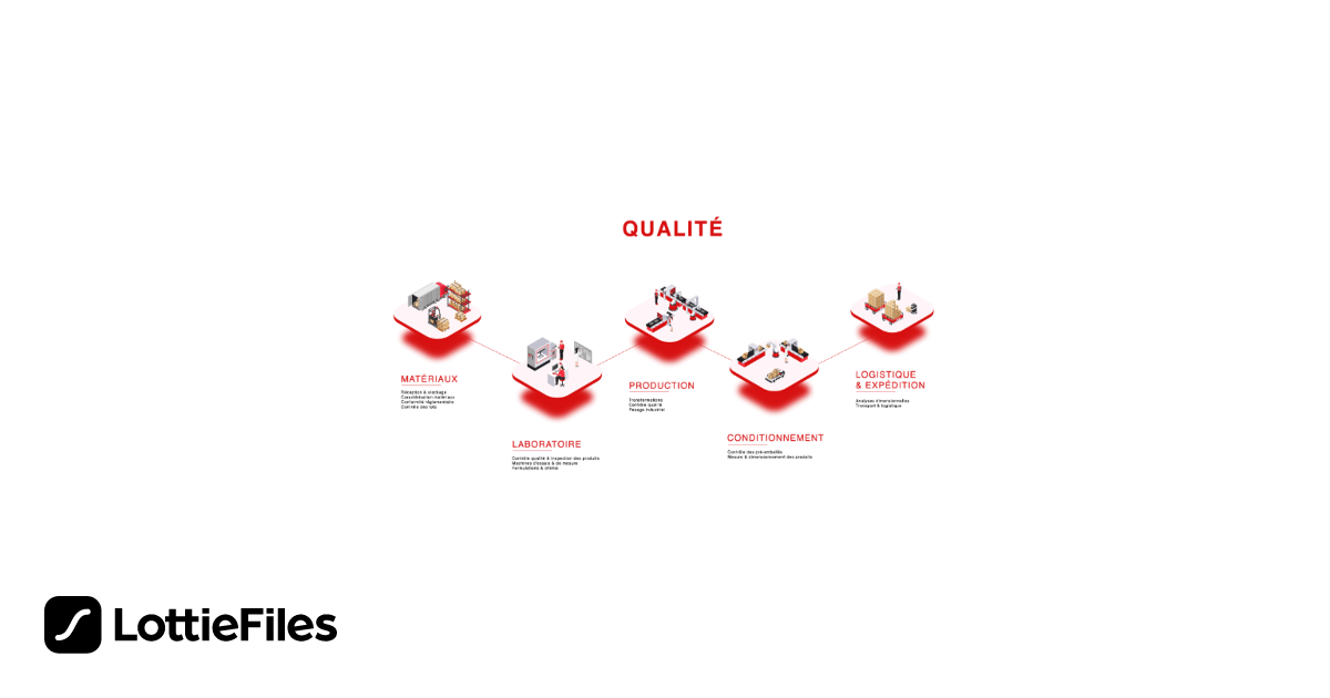 Free Animation Quality process Animation by Estelle Nolot | LottieFiles