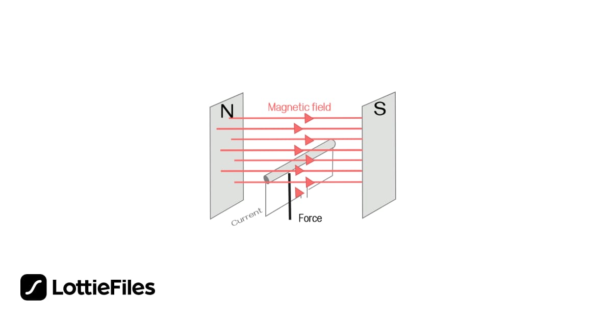 Free magnetic field Animation by Mervin Paul | LottieFiles