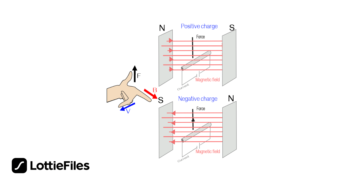 Free left hand rule Animation by Mervin Paul | LottieFiles