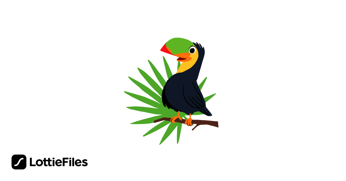tucan by H2W - LottieFiles