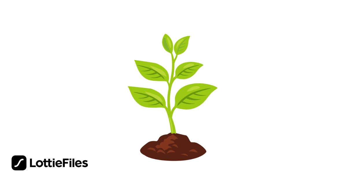 Free EnergyShares plant5 Animation by 석민문 | LottieFiles