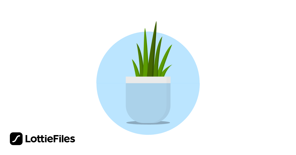 Free Succulent Plant Animation Animation by Alistair Webster | LottieFiles
