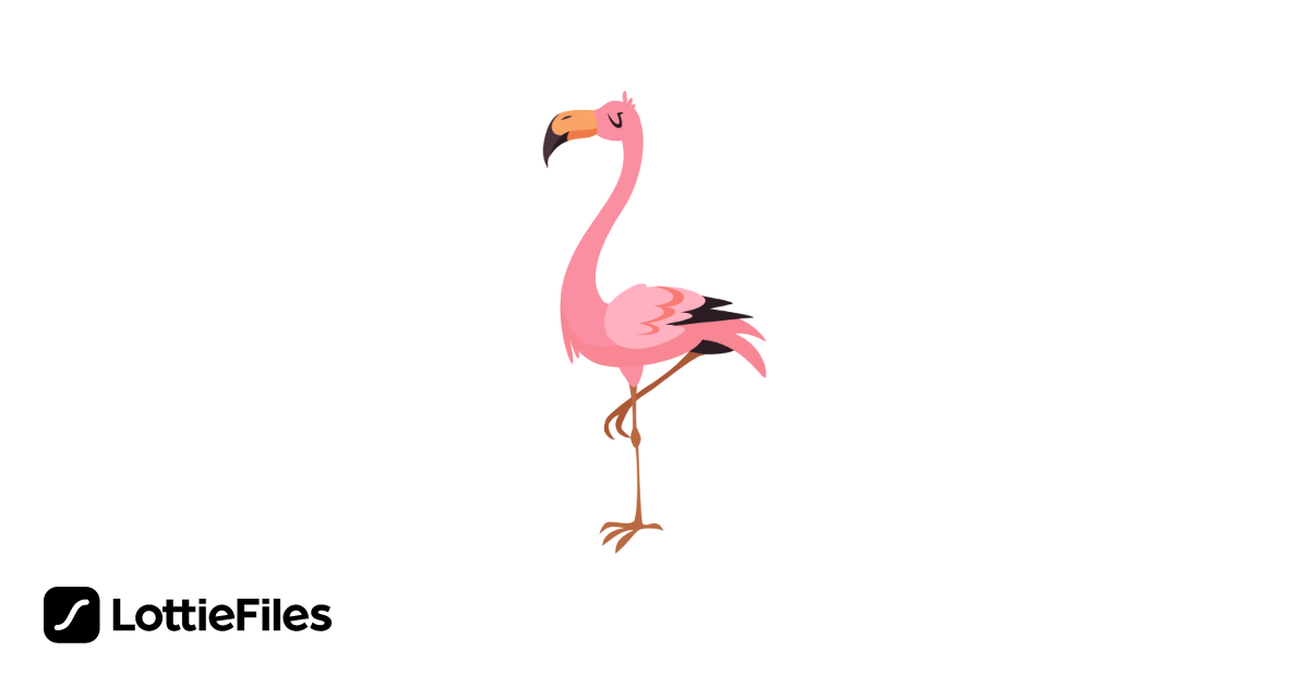 Free flamingo Animation by H2W | LottieFiles