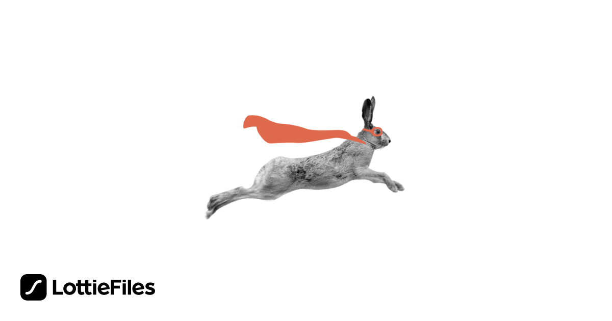 Free Flying hare Animation by Lara Santos | LottieFiles