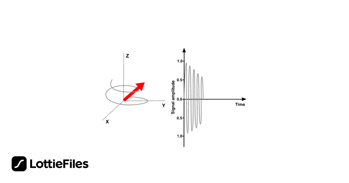 Free RF reception MRI Animation by Joana Barreira | LottieFiles