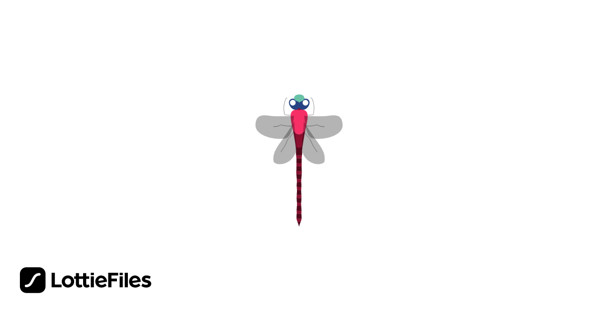 Free Dragonfly Animation by Porag Gogoi | LottieFiles