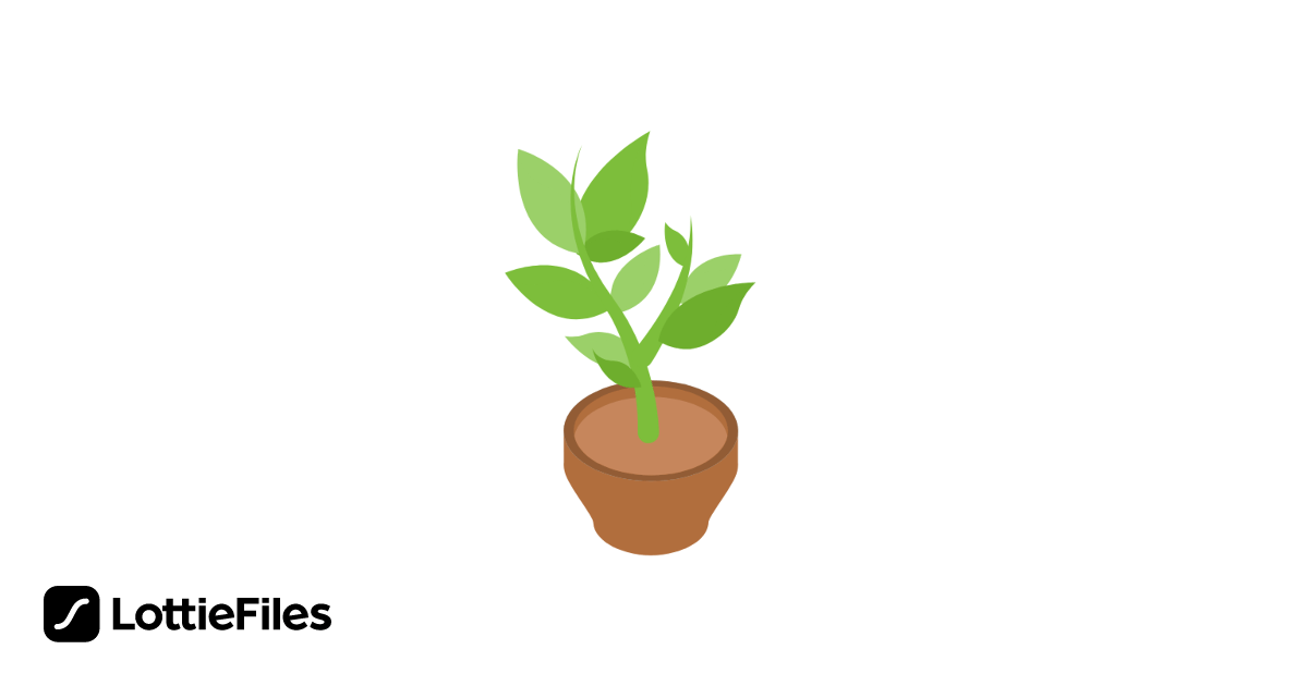 Free Growing Plant Animation by Zedex Studio | LottieFiles