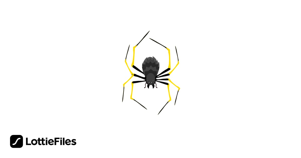 Free Spider 2 Animation by Sergio Matos | LottieFiles