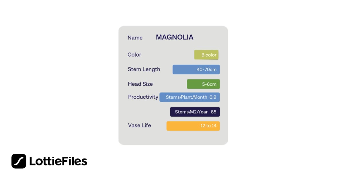 Free Magnolia Animation by Alex Hinojosa | LottieFiles