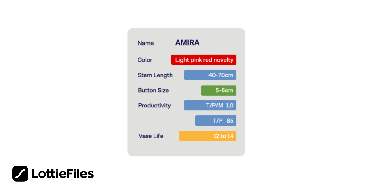 Free Amira variety Animation by Bryan Mediavilla | LottieFiles