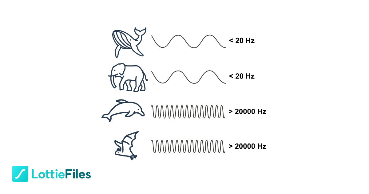 Sound frequency examples by Joana Barreira - LottieFiles