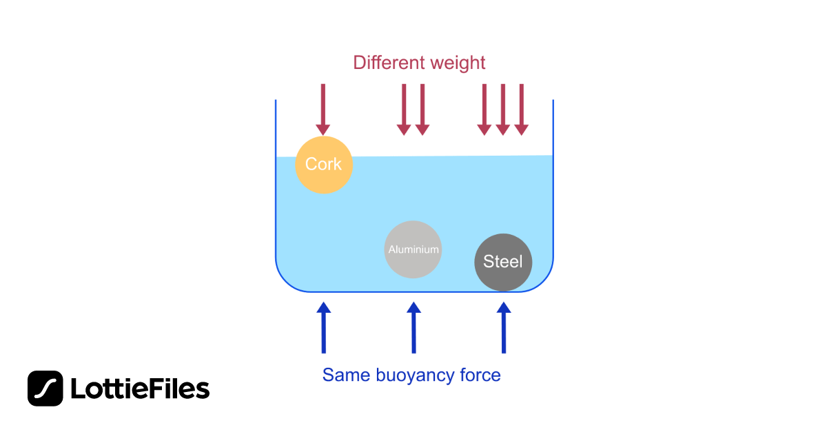 Free Buoyancy force - Explanation Animation by Joana Barreira | LottieFiles