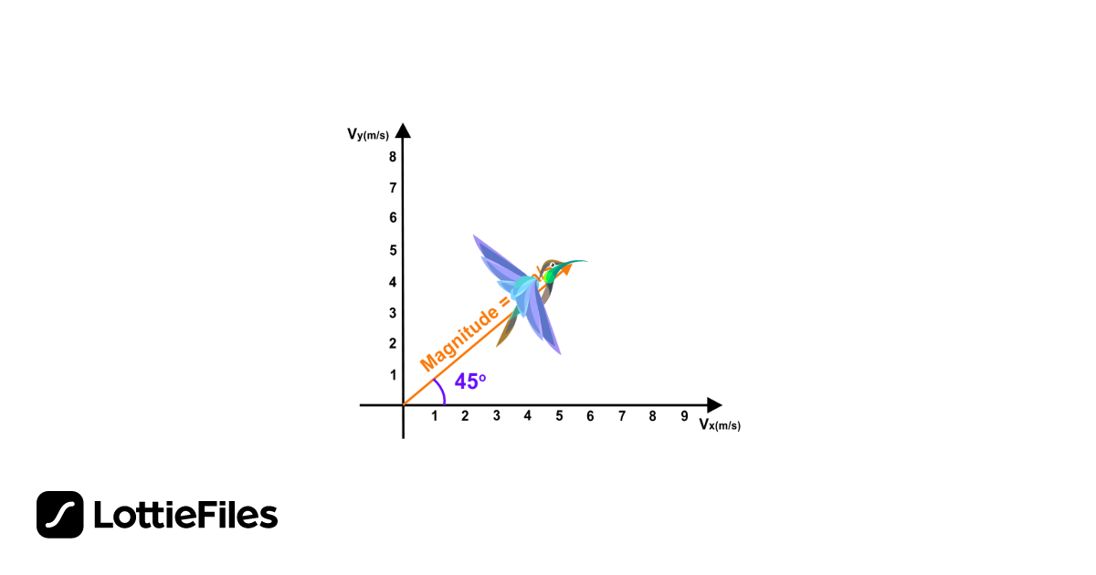 Free Vectors magnitudes angles Animation by Joana Barreira | LottieFiles