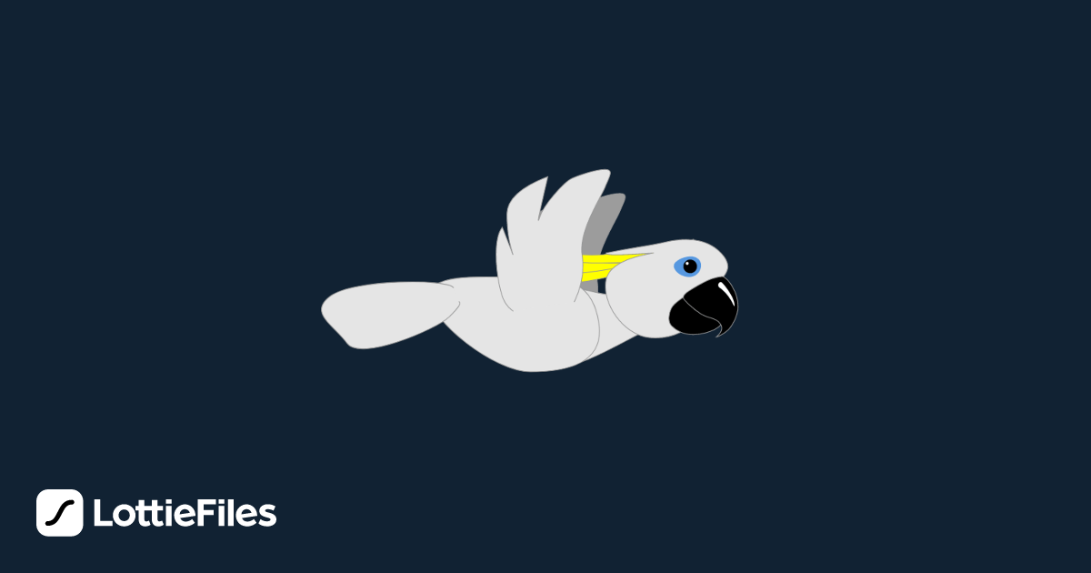 Free Jojo The Bird Animation by Javanesse | LottieFiles