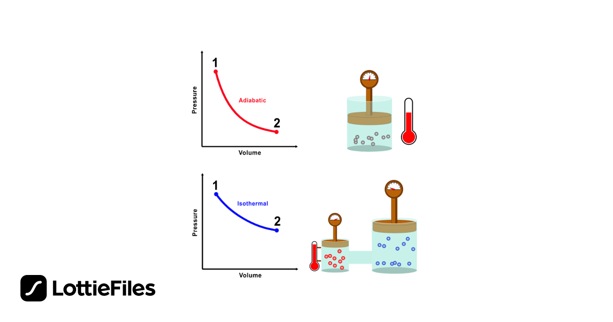 Free Isothermal and adiabatic -Thermodynamics Animation by Joana ...