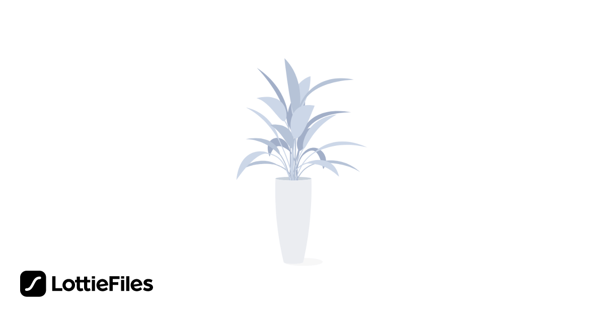 Free Pot plant Animation by Yaroslavna Akulina | LottieFiles