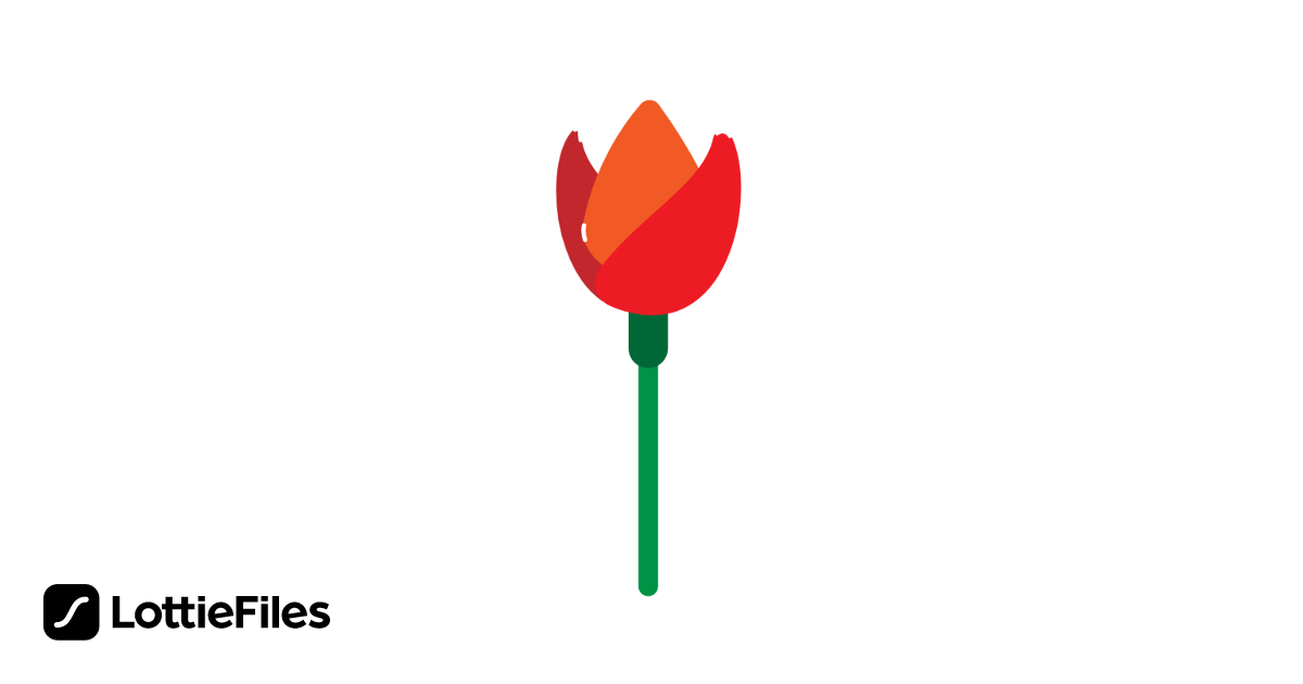 Free Tulip Animation by اردشیر حکیمی | LottieFiles