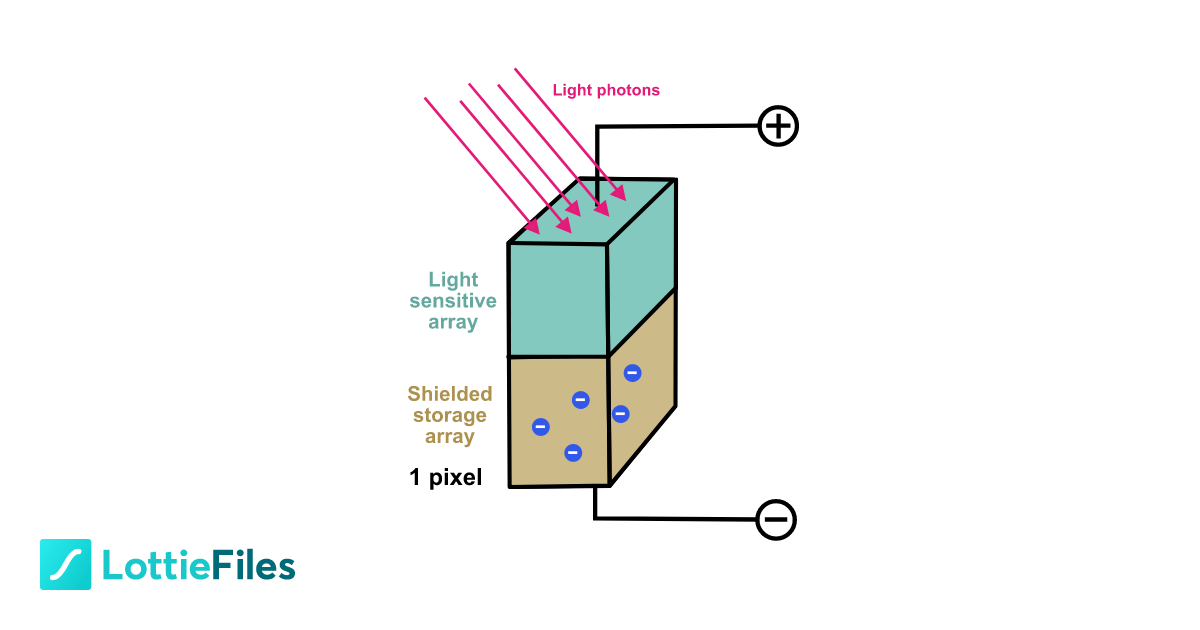 CCD sensors charged coupled device - Fluoroscopy by Joana Barreira ...