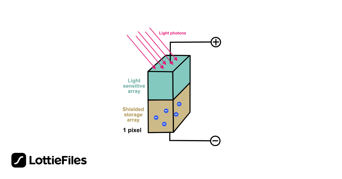 CCD sensors charged coupled device - Fluoroscopy by Joana Barreira ...