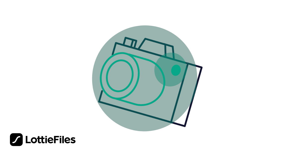 Free wired outline 61 camera Animation by Nik-Anton Nagel | LottieFiles