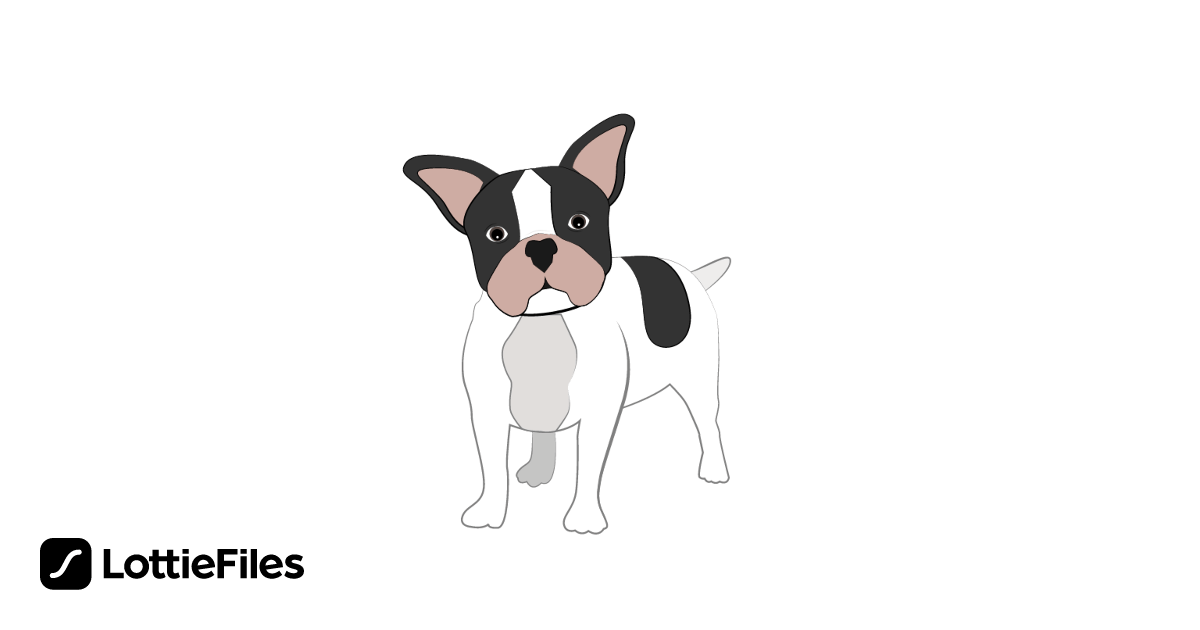 Free Bull dog waiting Animation by Hùng Hoàng | LottieFiles